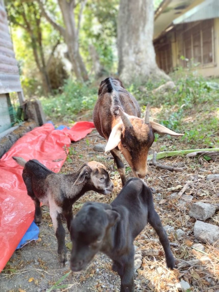 Blessings for Kalipay - Kalipay Negrense Foundation