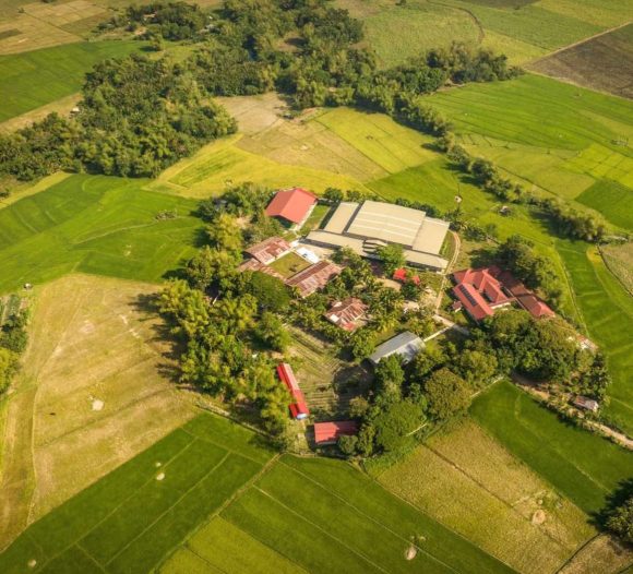 Shades of Kalipay - Kalipay Negrense Foundation